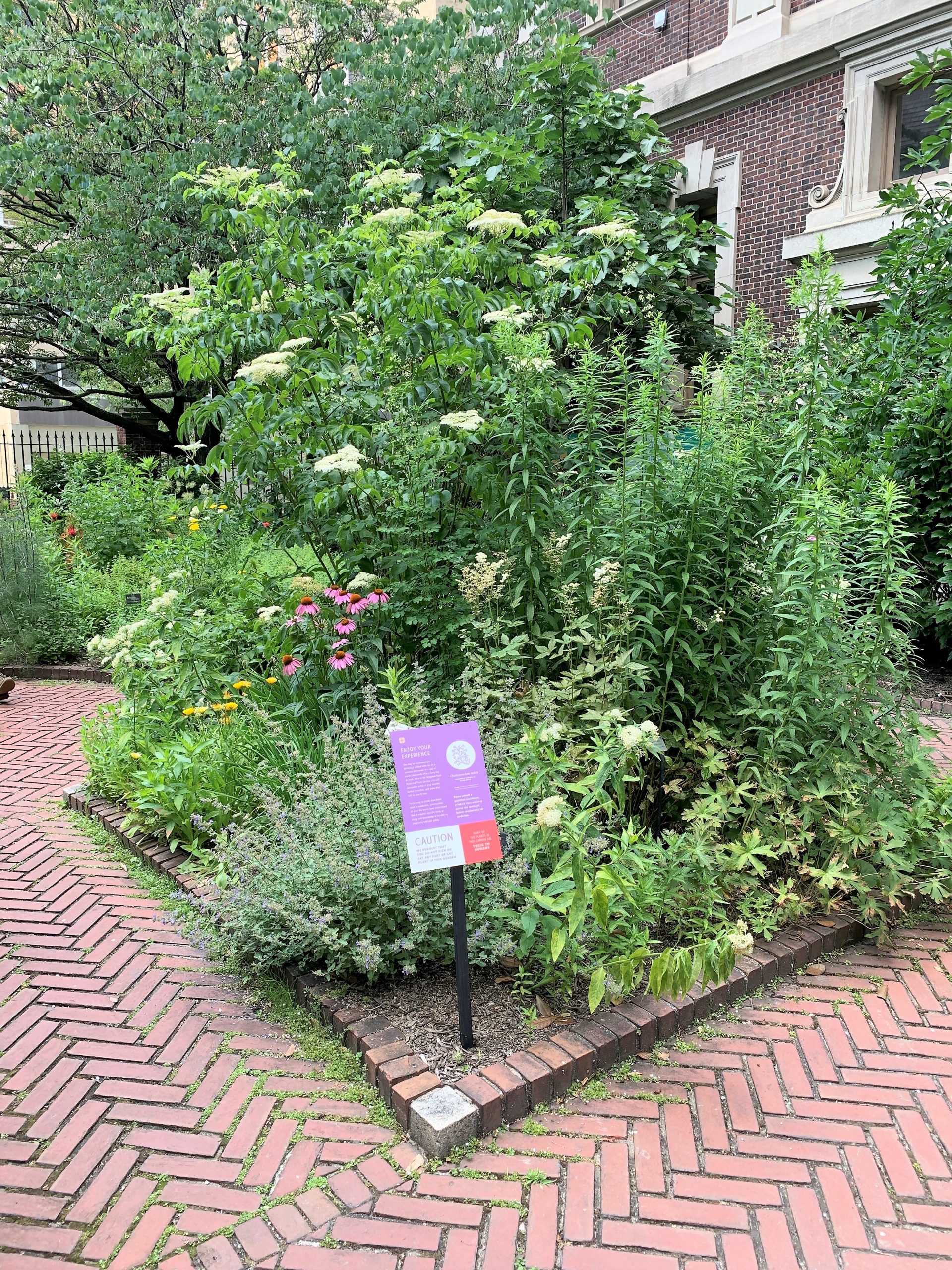 muttergarden3 - philly lover